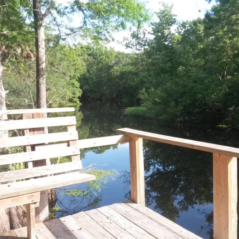 Home | Double C Ranch